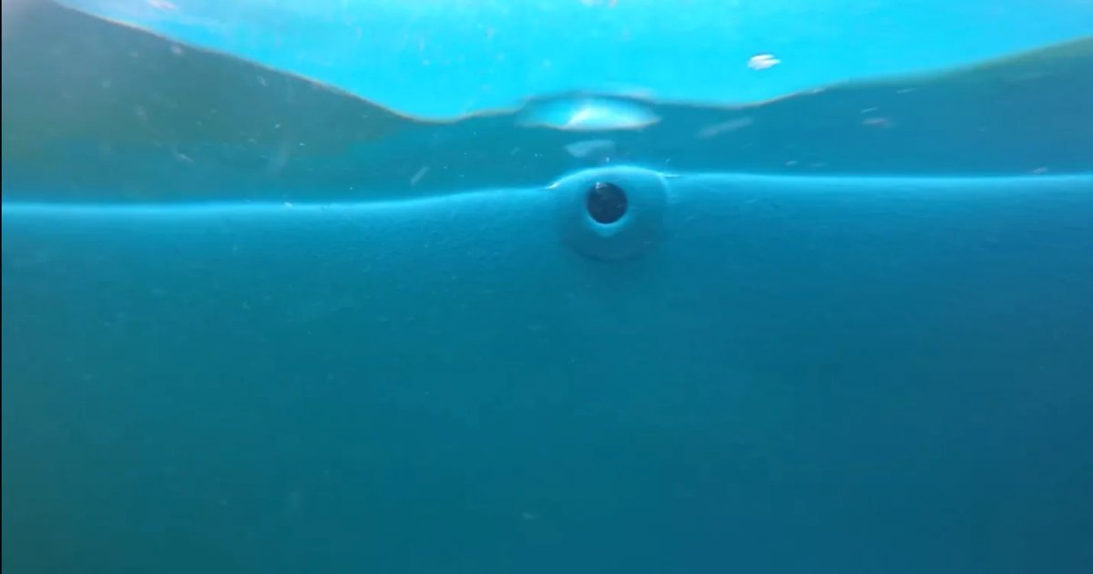 Hull Cleaning & Underwater Work in Victoria BC | Danny's Diving
